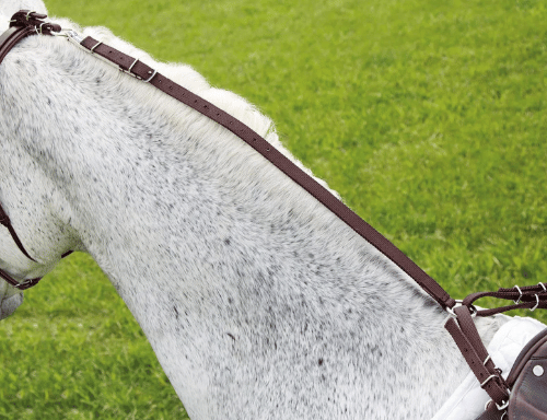 Avignon Daisy Rein – Baker's Saddlery