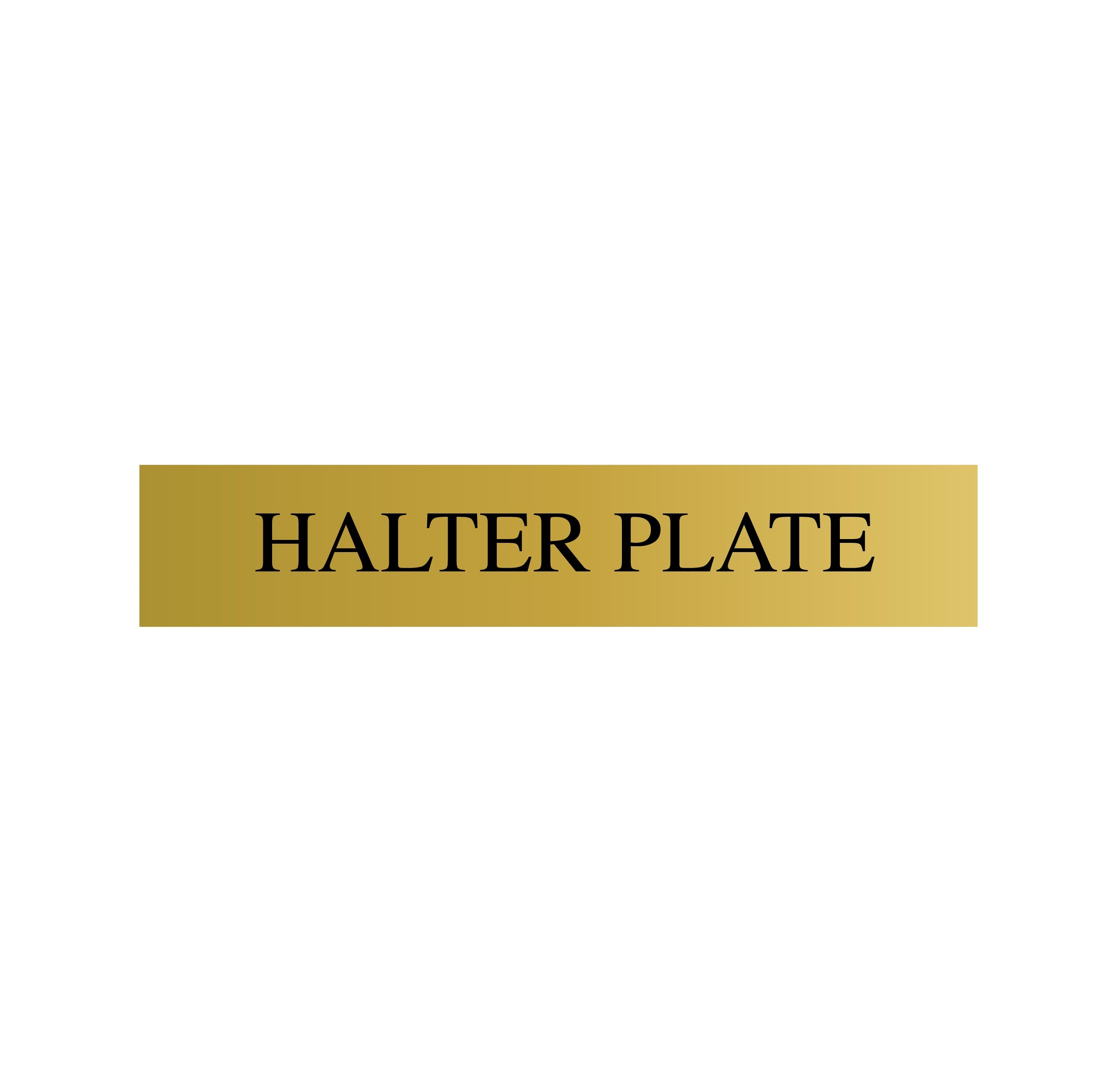 Halter Plate - Square 5/8" – Baker's Saddlery