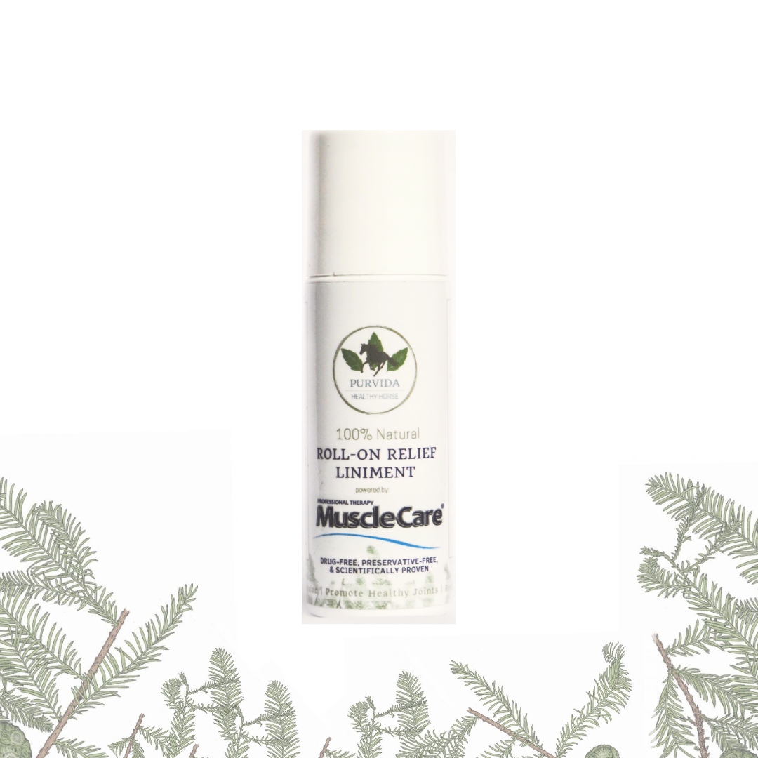 PURVIDA HEALTHY HORSE Roll-On Relief Liniment – Baker's Saddlery