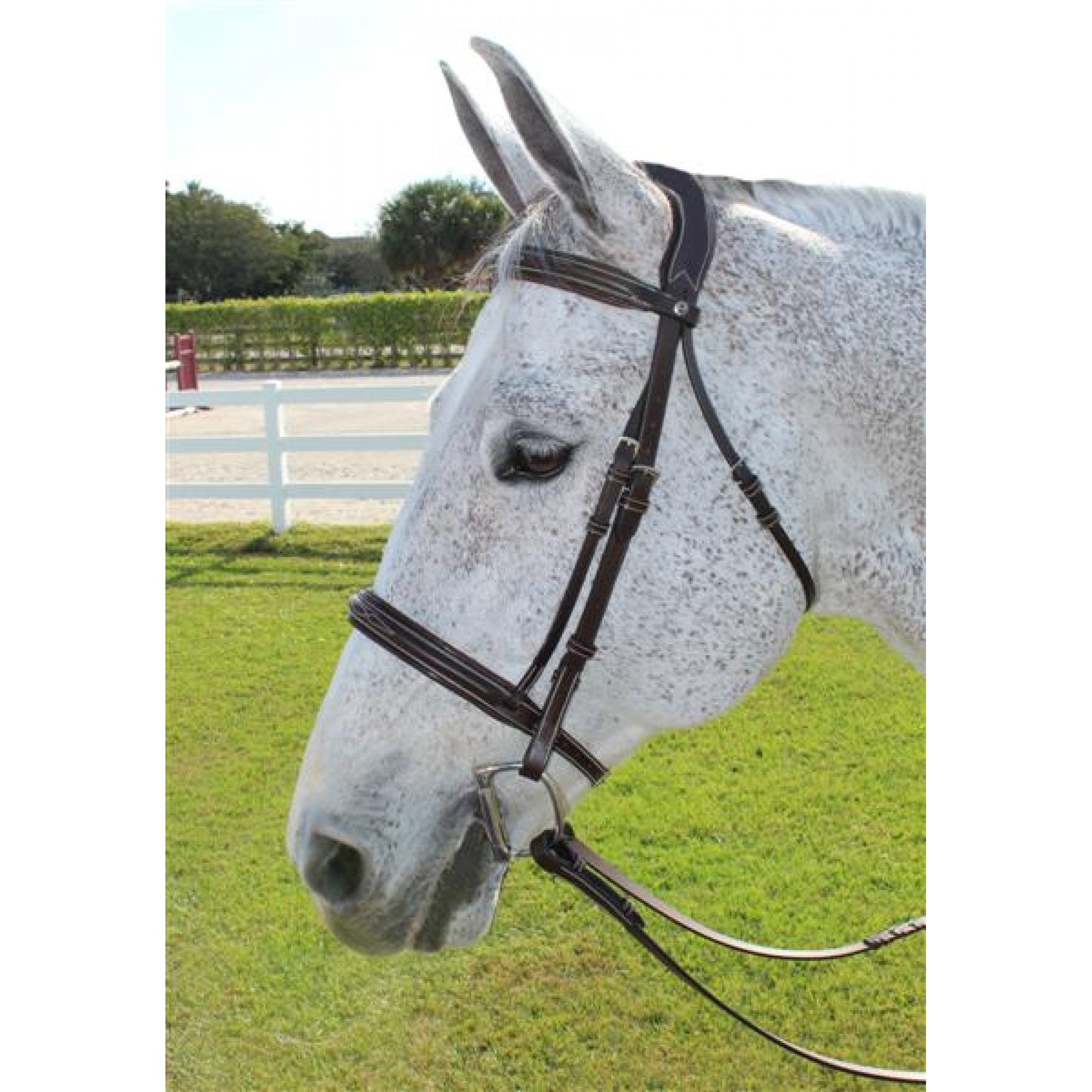 HDR Pro Stress Free fancy padded bridle with patent pipe – Baker's Saddlery