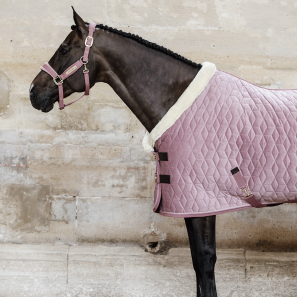 KENTUCKY HORSEWARE - SHOW RUG VELVET 160G – Baker's Saddlery