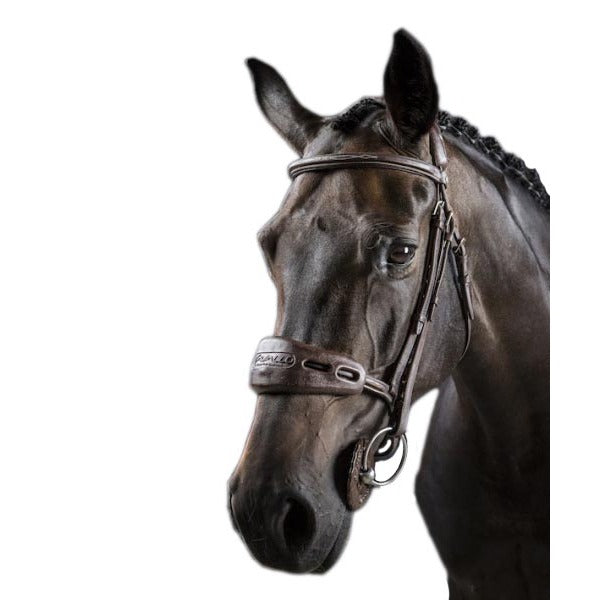 Acavallo Gel Nose + Poll Guard – Baker's Saddlery