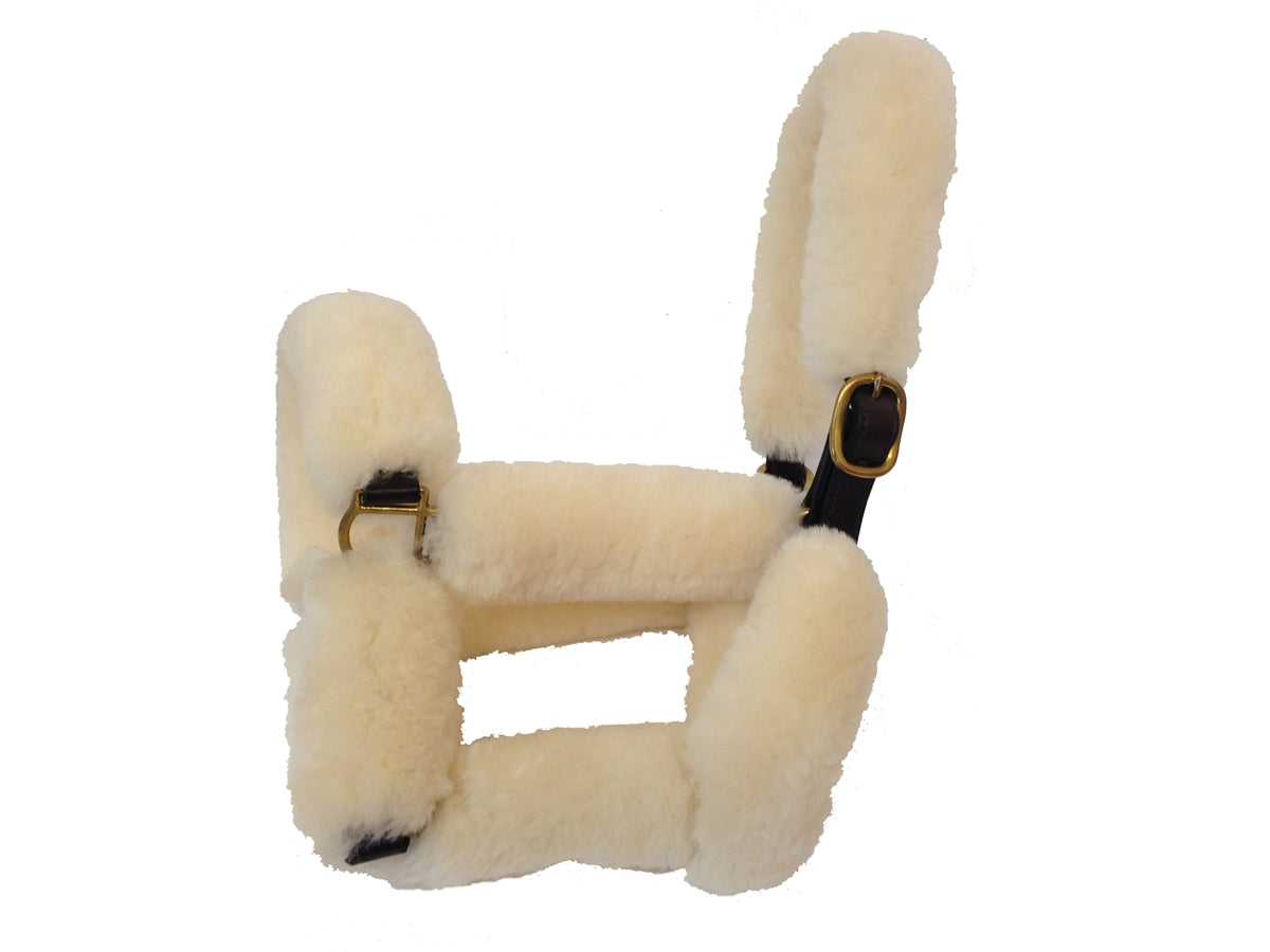 BHS Sheepskin Shipping Halter - Halters and Leads from Baker's Saddlery