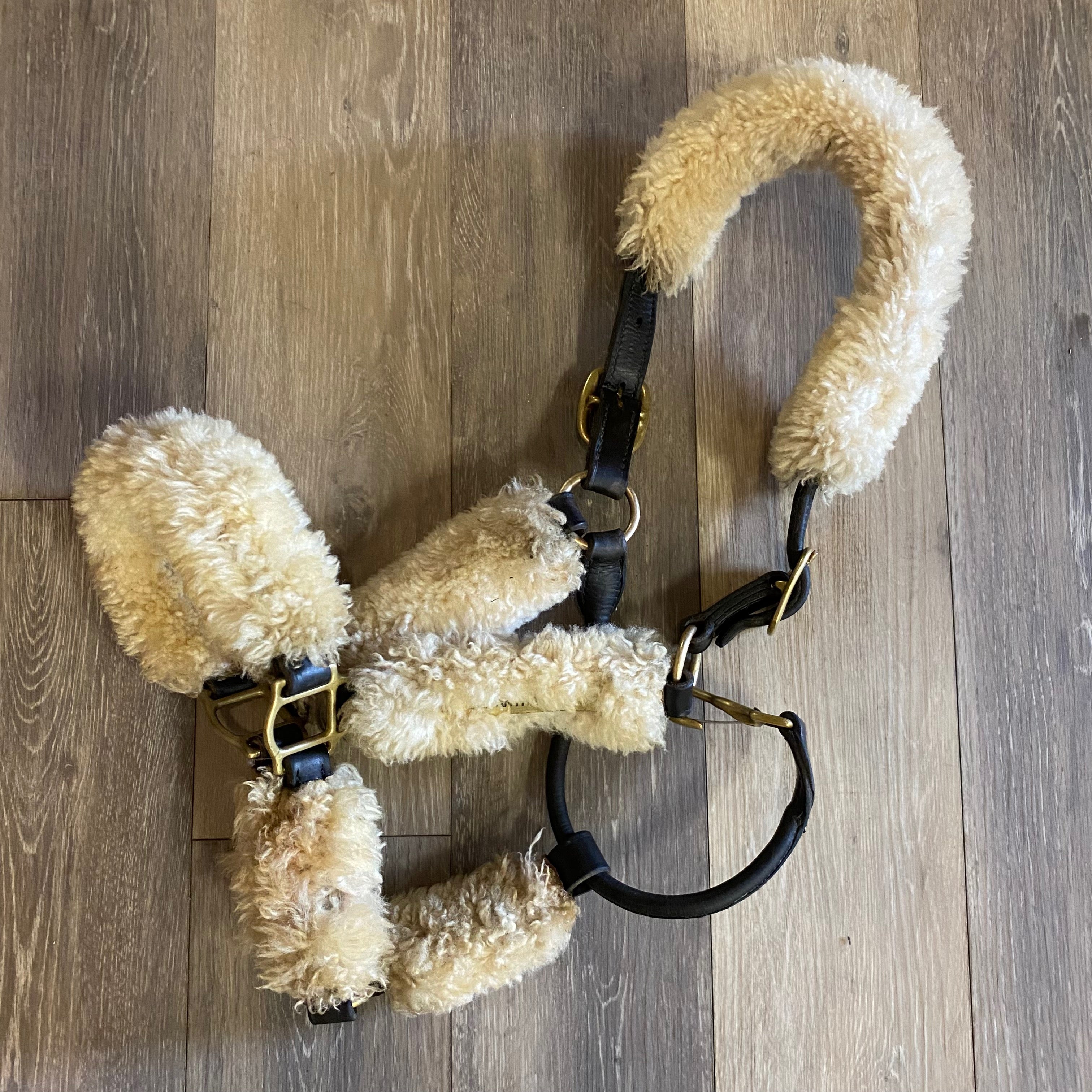 Consignment Shipping Halter w/Sheepskin FULL – Baker's Saddlery