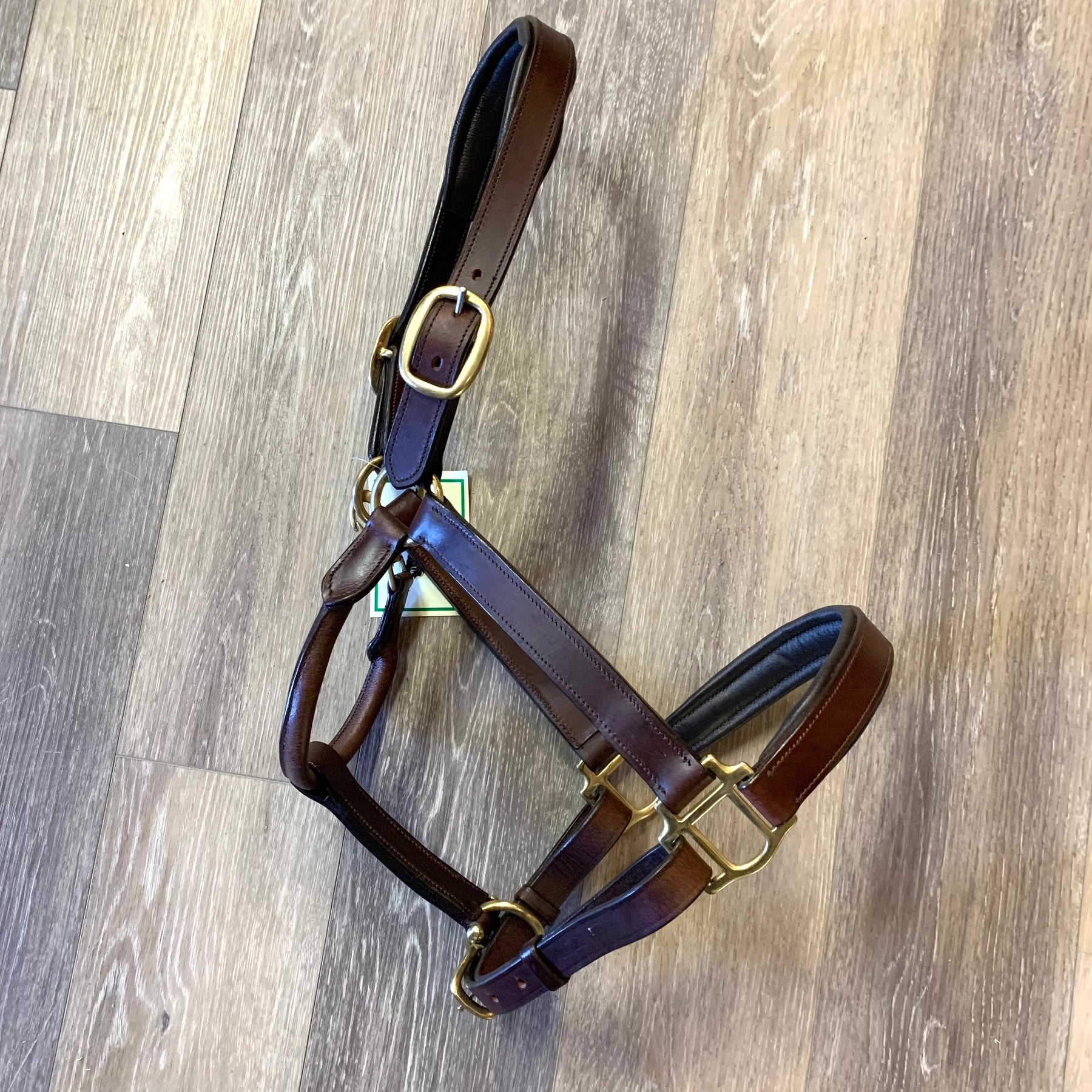 Padded Leather Halter – Baker's Saddlery