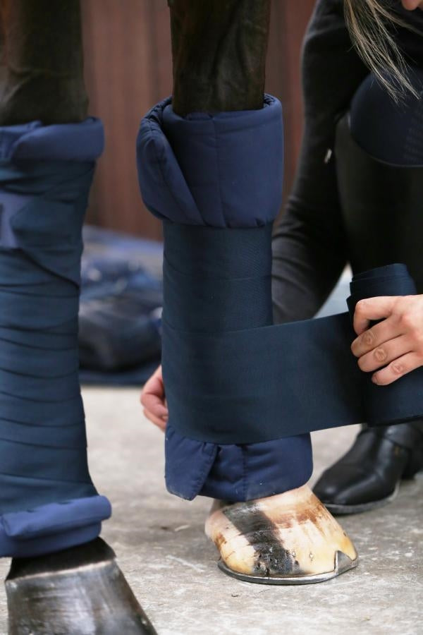 Kentucky Stable Wraps – Baker's Saddlery